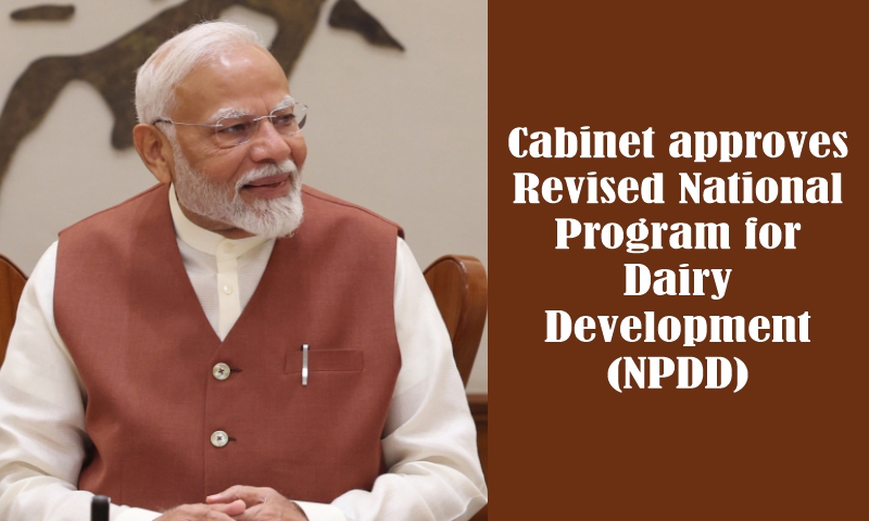 Cabinet approves Revised National Program for Dairy Development (NPDD ...